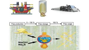 Mechanical Pulping vs. Chemical Pulping: Which one is better?
