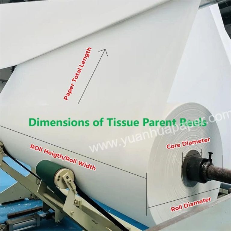 What are Tissue Parent Reel Dimensions? | Hygiene Paper Manufacturer