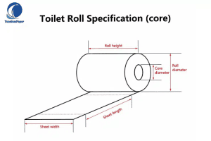 What Is the Circumference of a Toilet Paper Roll?
