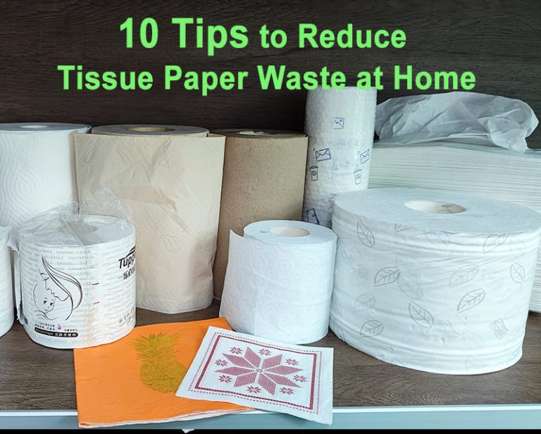10 Tips to Reduce Tissue Paper Waste at Home