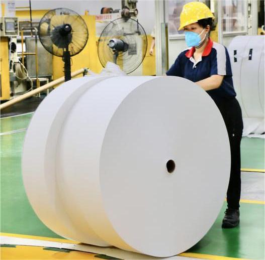 Tissue Paper Jumbo/Parent Roll Manufacturer-YuanhuaPaper