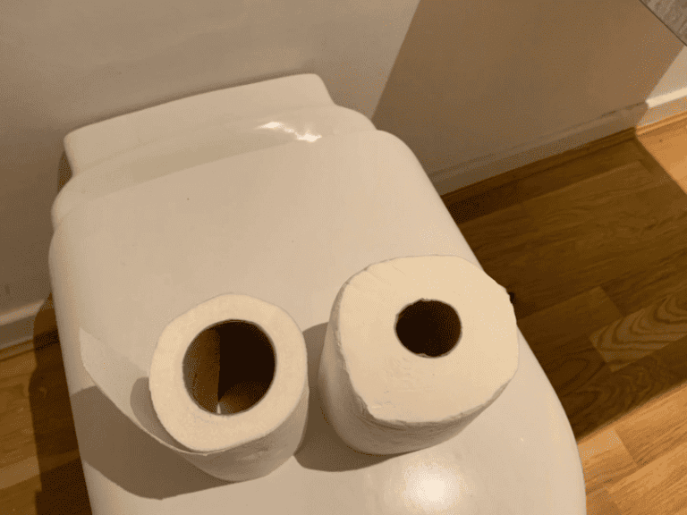 What Are The size of toilet paper roll tube? | Toilet Paper Core