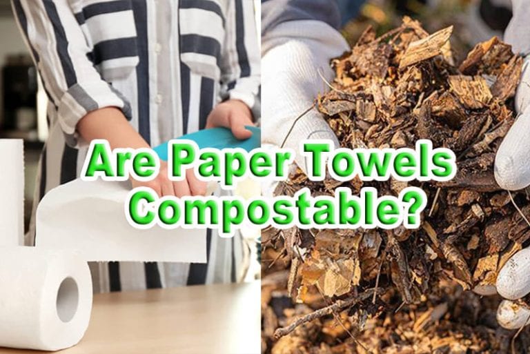 Are Paper Towels Compostable?
